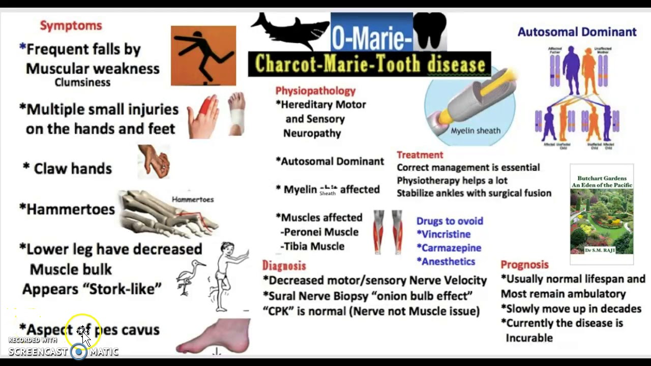 Charcot-Marie-Tooth (CMT) – Nursing Notes